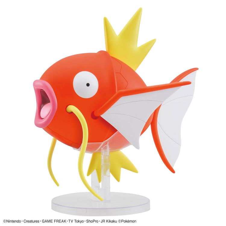 Magikarp Big Size (20cm) - Pokémon Model Kit – BlasterChile